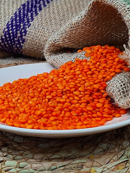 Mercimek - mercimek1